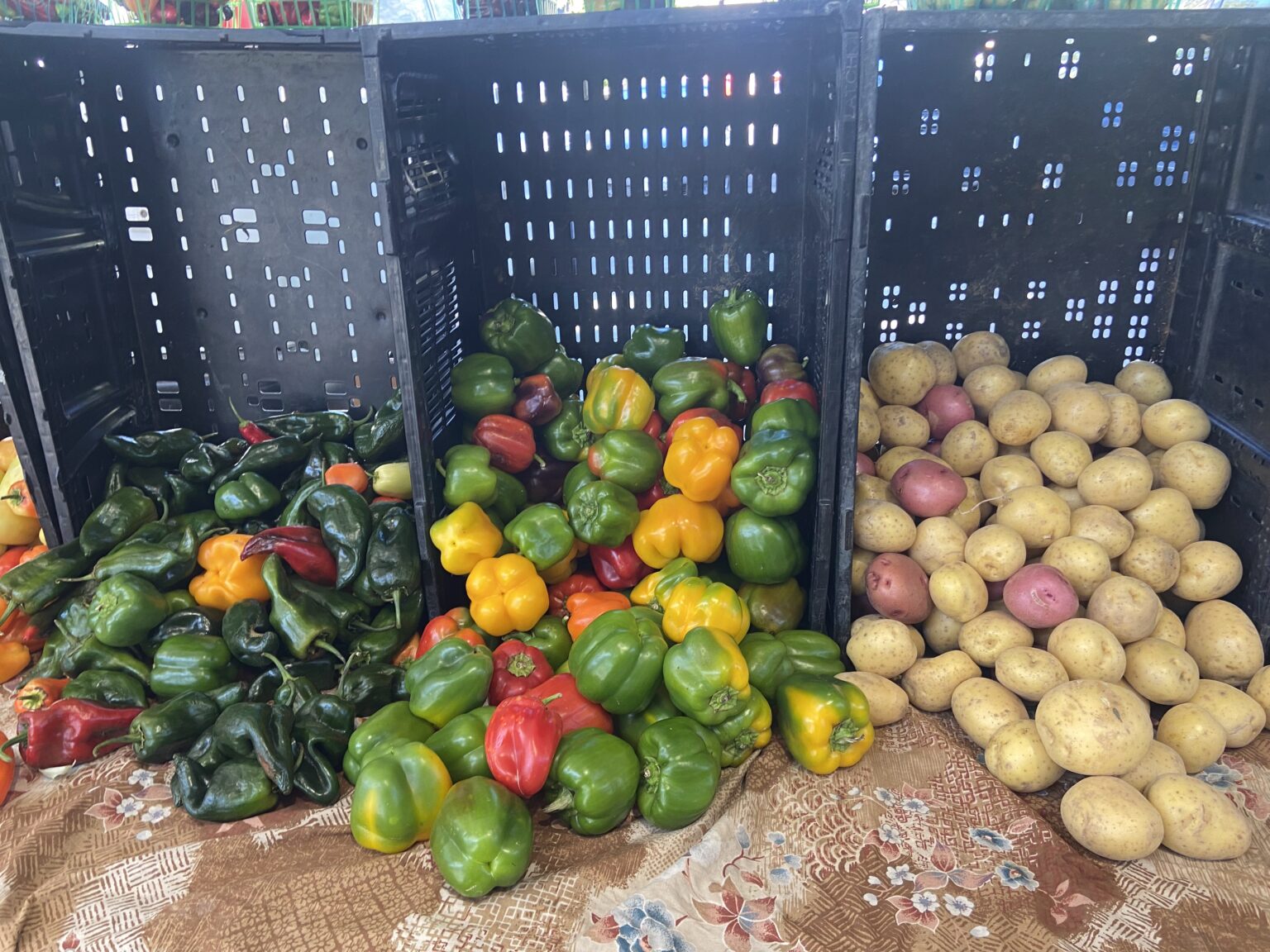 Your guide to food near UC Davis: Cozy haunts, study spots and late ...